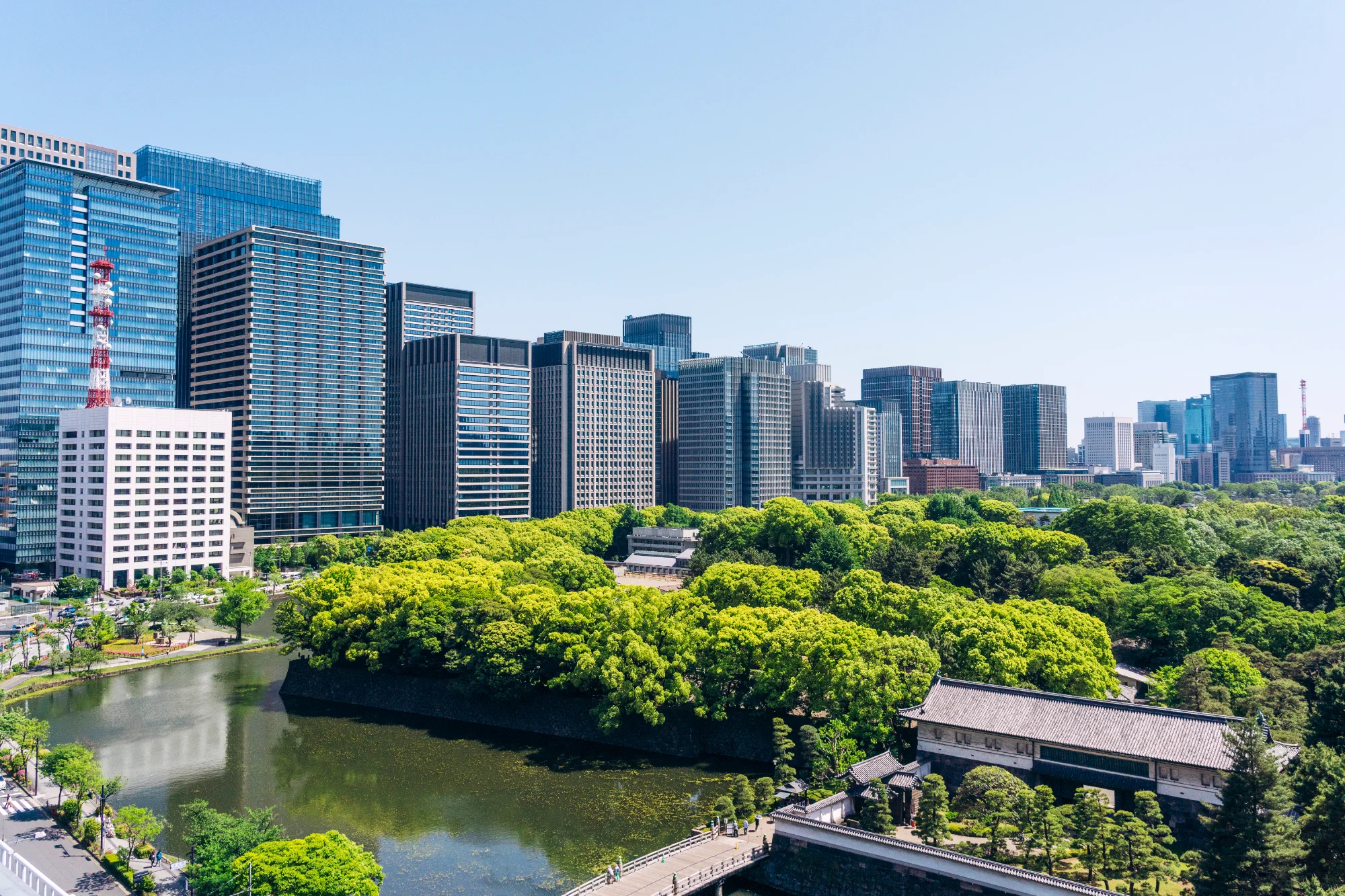 Fujisan.AI — #1 JLPT Practice Test & Study App | Pass N5-N1 | Made in Japan